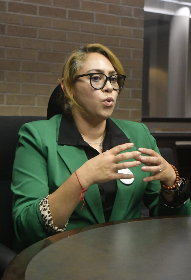 Flor Lopez seeks to empower the regular voices of District 1 in bid for ...